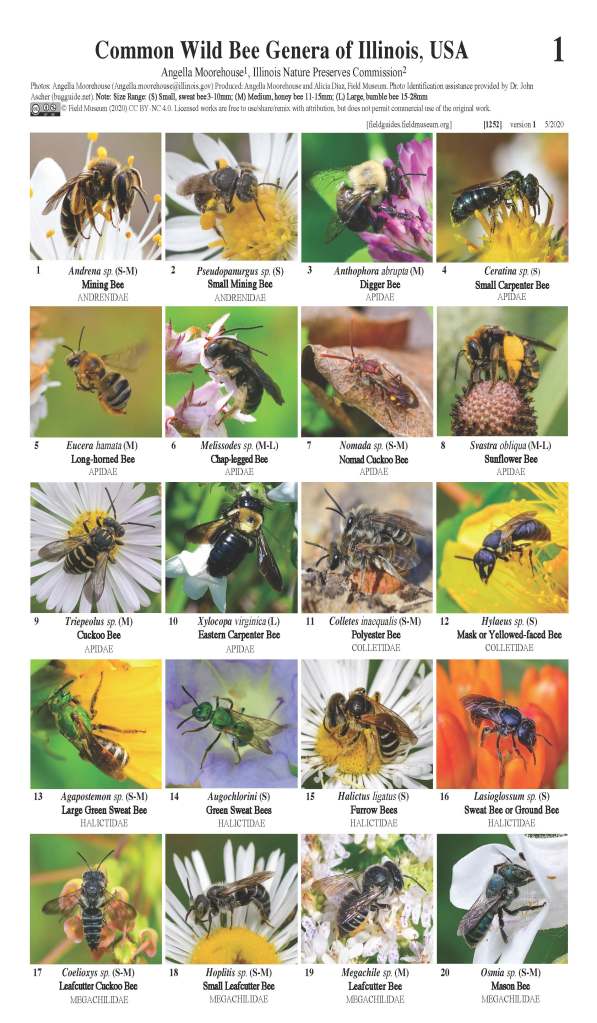 Citizen Science | El Paseo Community Garden